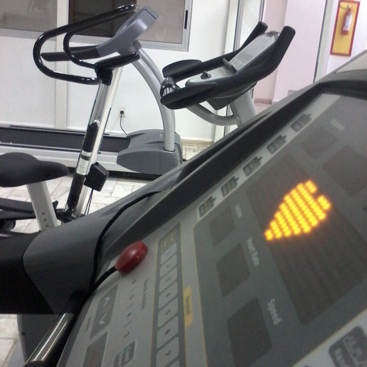 Edificio Scorpio – Nuevo Edificio Scorpio